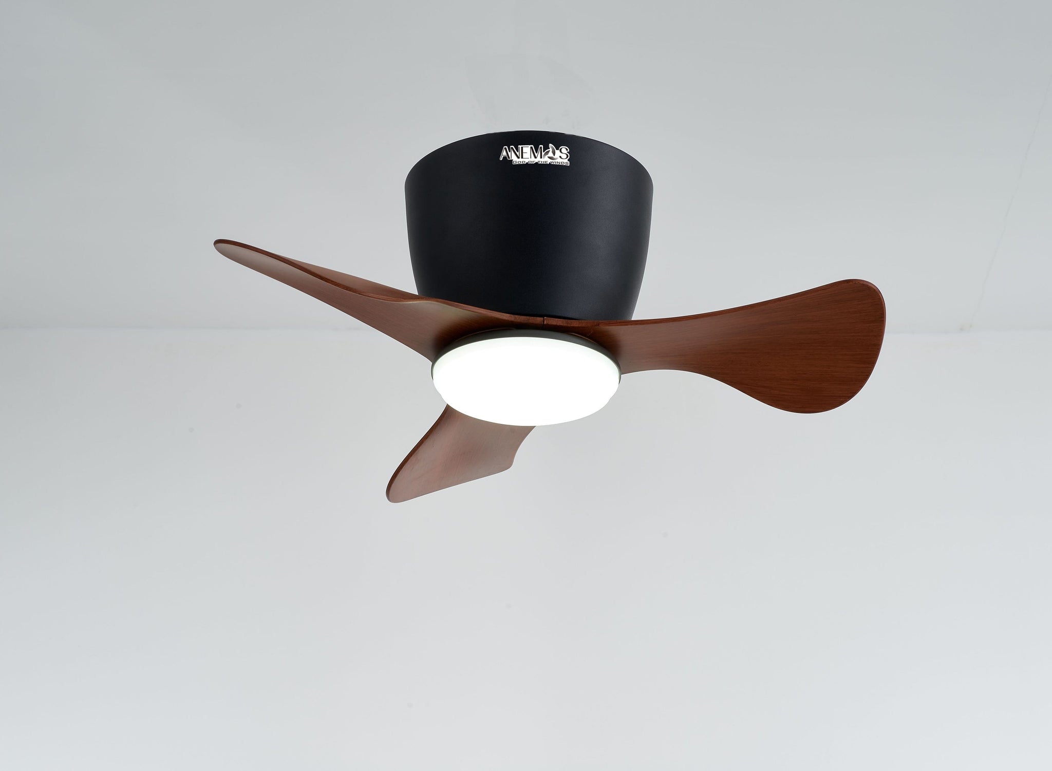 Acqua BN Ceiling Fan - Best Collection of Ceiling Fans in India - Anemos